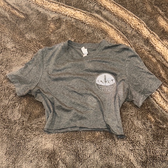 Santa Cruz Skateboards | Tops | Santa Cruz Crop Top | Poshmark